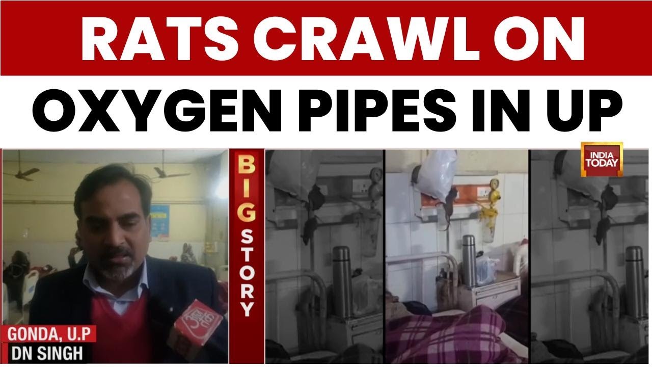UP healthcare shocker: Rats crawl on oxygen pipes at Gonda district ...