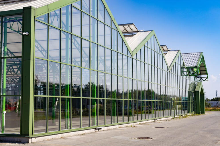 Potężne centrum ogrodnicze na Śląsku wystawione na sprzedaż. Kiedyś ...