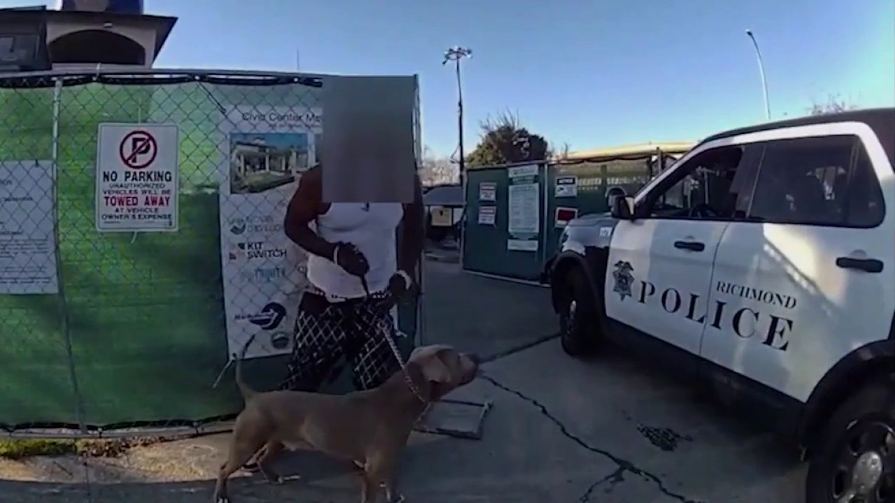 Richmond police defend tasing dog during arrest