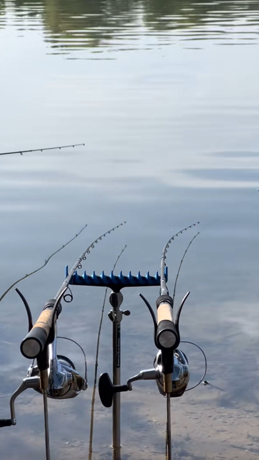 Reliable carp rig technique for serious anglers