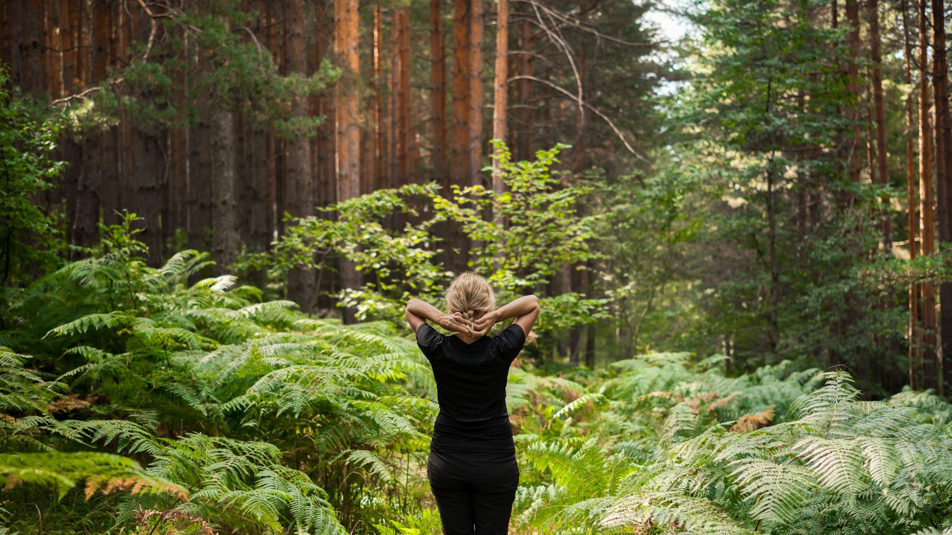 „Shinrin-yoku“, eine in Japan entstandene Praxis, lindert Stress ohne ...