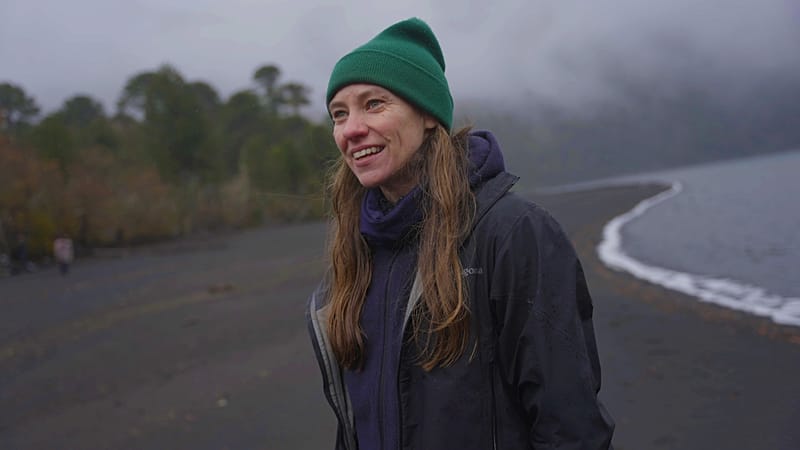 We’ve neglected the power of carbon-sucking fungi. Meet the scientist ...