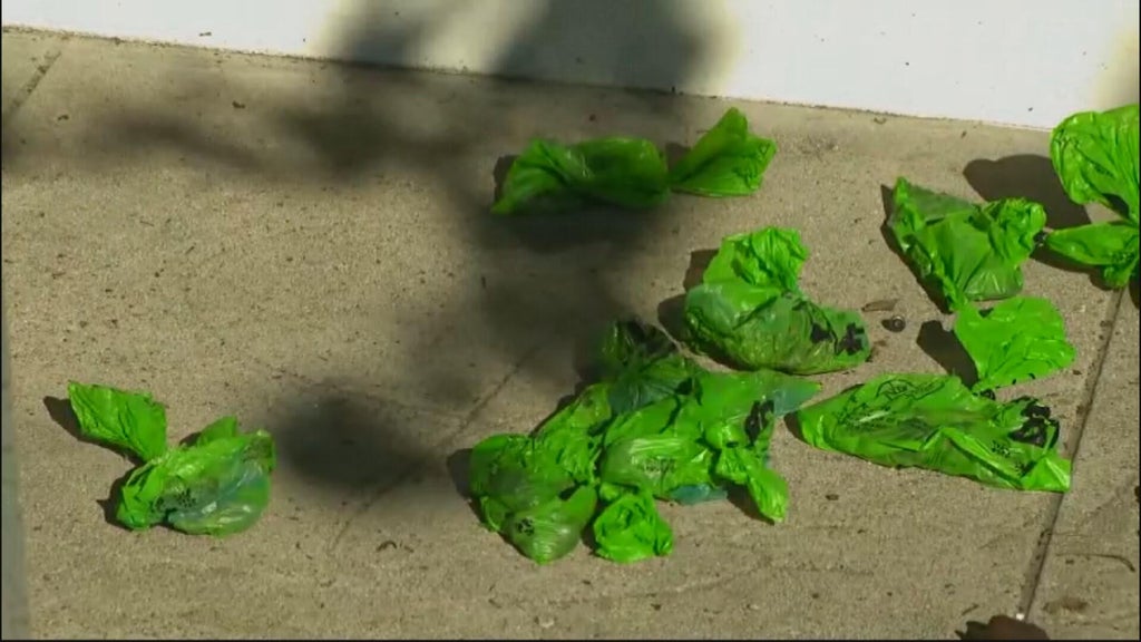 Bell police unable to stop man from throwing bags of dog poop at LGBTQ ...