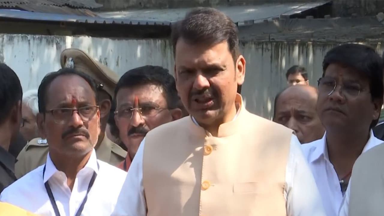 Fadnavis dismisses ink claims, tells EC to 'use oil paint if needed'