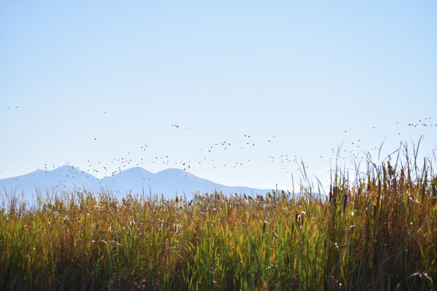 Developers, environmental advocates clash over proposed zoning change ...