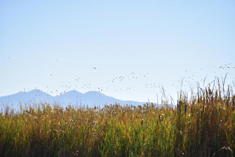 Developers, environmental advocates clash over proposed zoning change ...