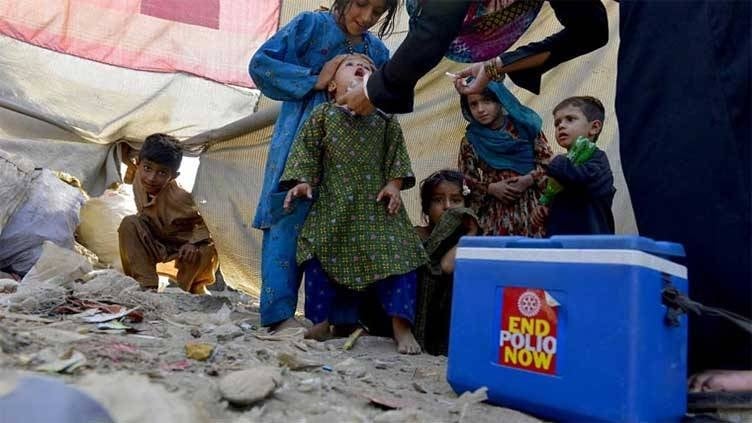 Balochistan records major progress in polio fightPublished on: January ...