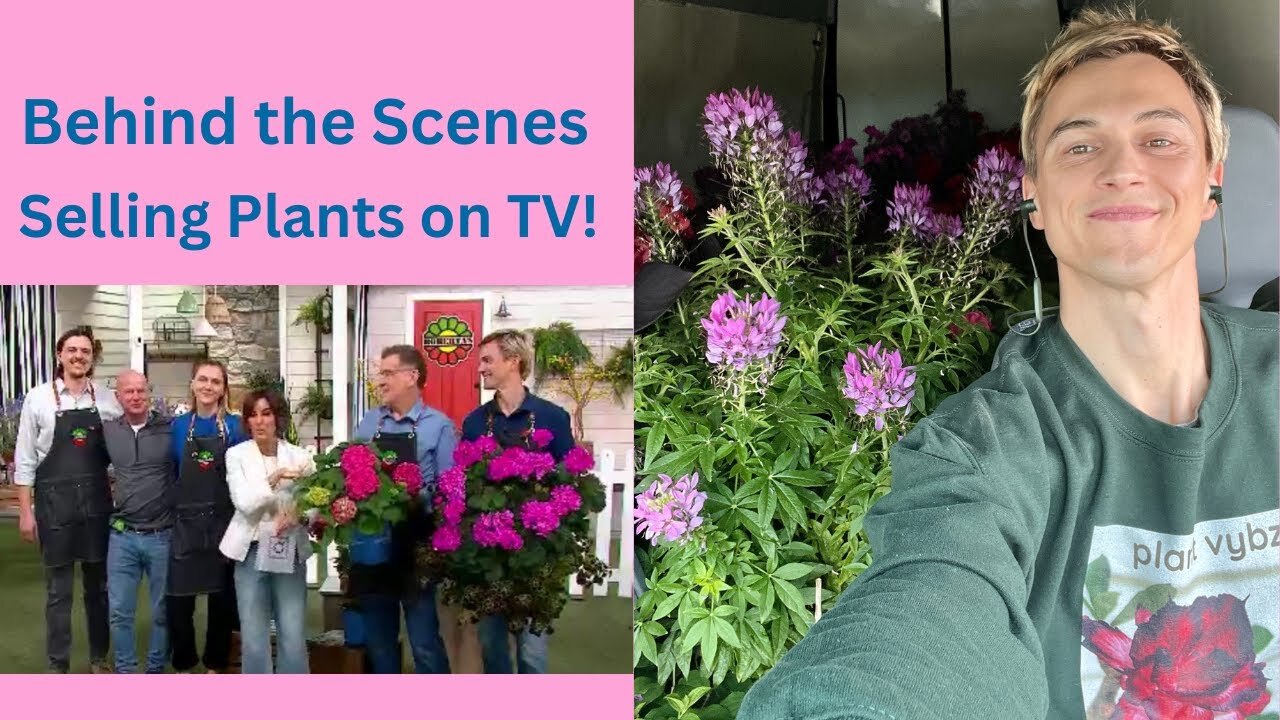 Selling live plants on TV! Behind the scenes