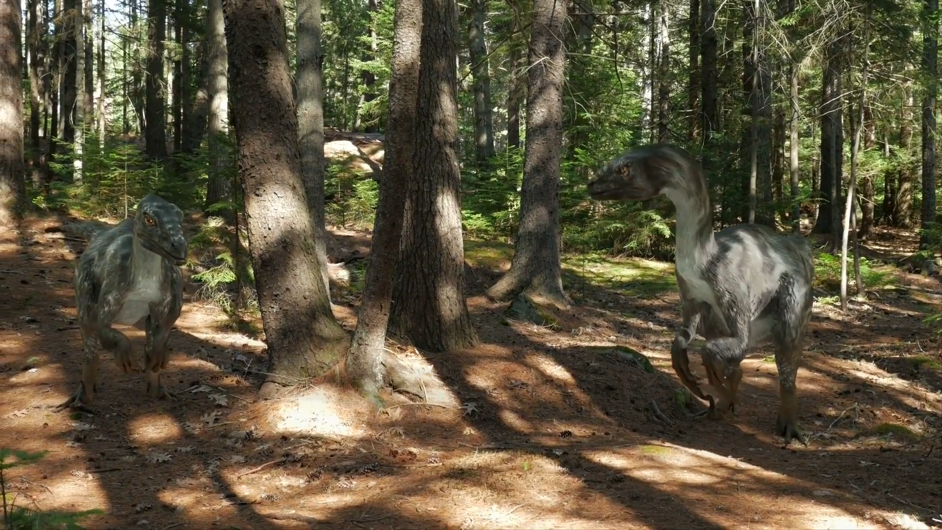 What scientists still do not know about Gigantoraptor