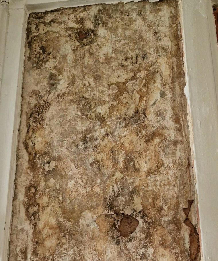 Mould and damp in our council home is making my family ill