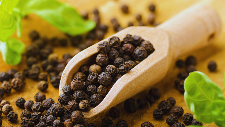 Which city in India is called the queen of the Arabian Sea?