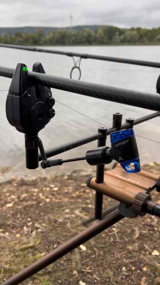Best fishing setup for big fish that every angler should try