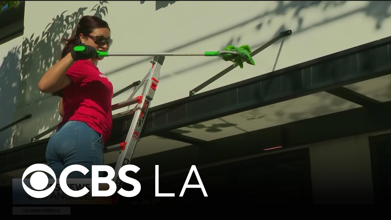 Bell police unable to stop man from throwing bags of dog poop at LGBTQ ...