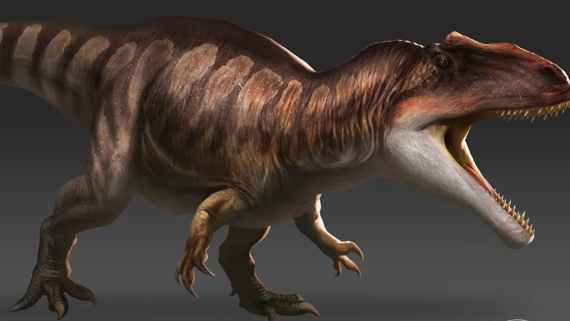 How one South American fossil reshaped ideas about dinosaur dominance