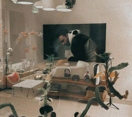 Gohar Rasheed gushes over Kubra's 'brilliant' photography ...