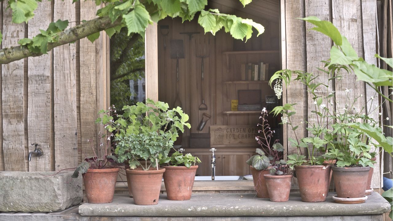 There are just 5 steps to create a Pinterest-worthy potting shed