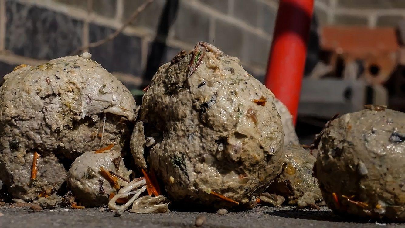 Severn Trent asks customers to keep the sewers safe by not flushing ...