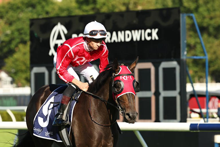 Rebuilding Gibbons backs Cross Tasman to spearhead Rosehill chances