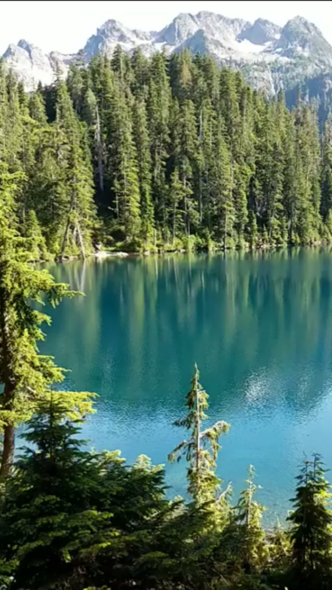 A peaceful escape to the wonderful lake