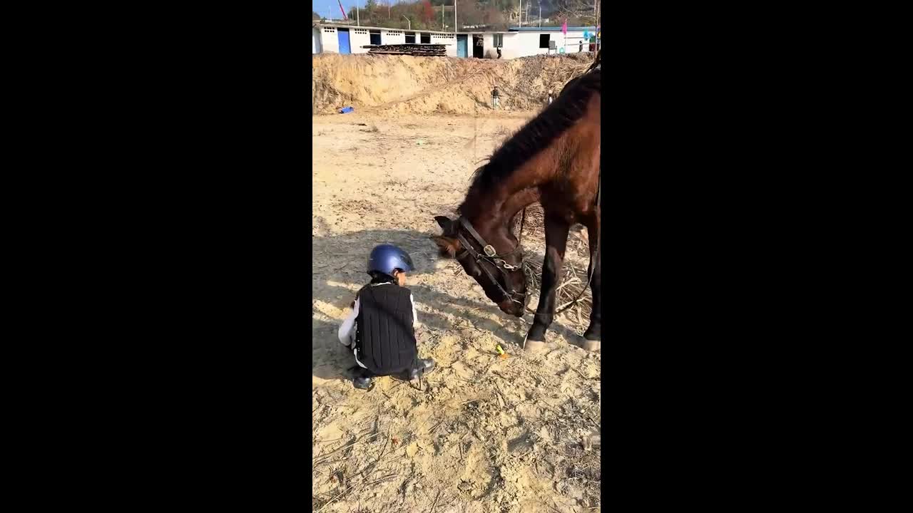 Boy mounts horse by sliding from head to back