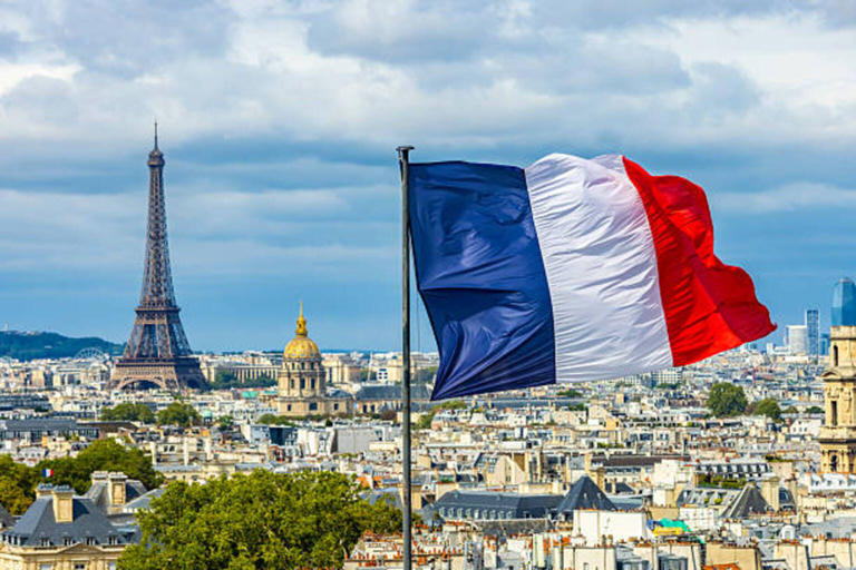 French factory activity and services slump sharply in May