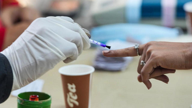 BMC elections 2026: Voter turnout reaches 17.73 per cent till 11.30 am