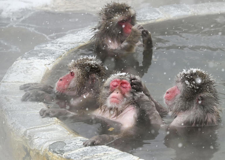 Kyodo News digest: Jan. 15, 2026