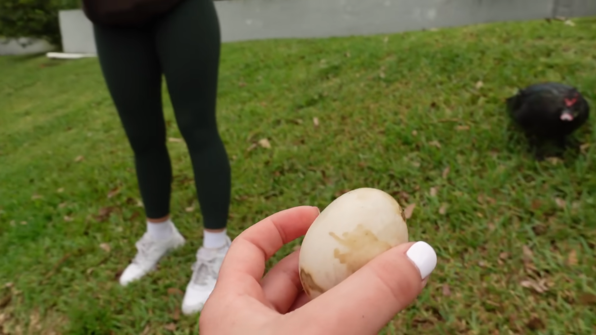 Why these eggs were left behind remains unclear