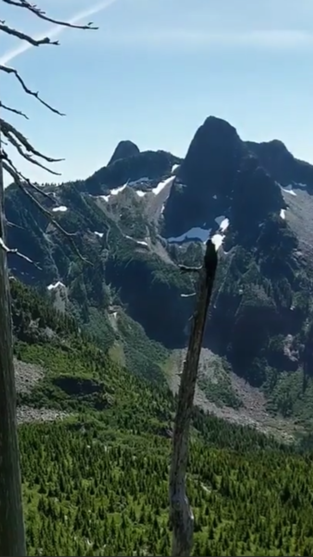 These Mountain Views Above the Clouds