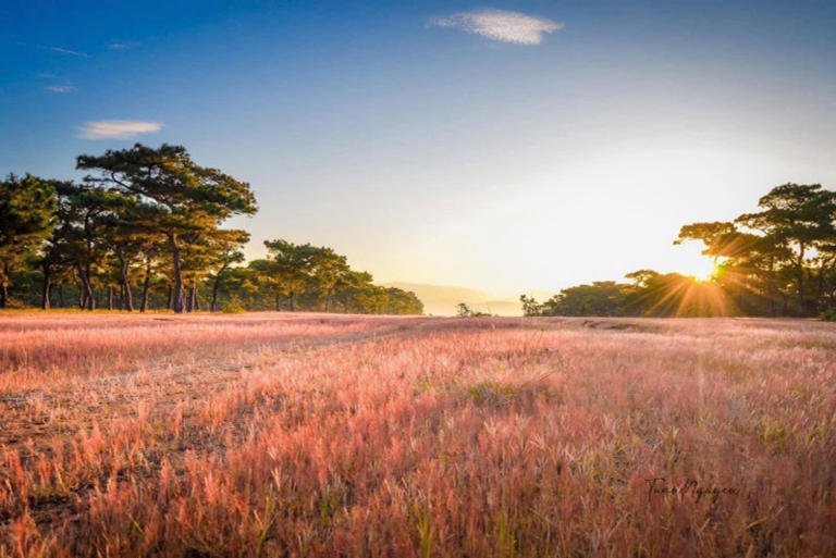 Gia Lai chấp thuận doanh nghiệp liên quan FLC đầu tư dự án sân golf Đak Đoa