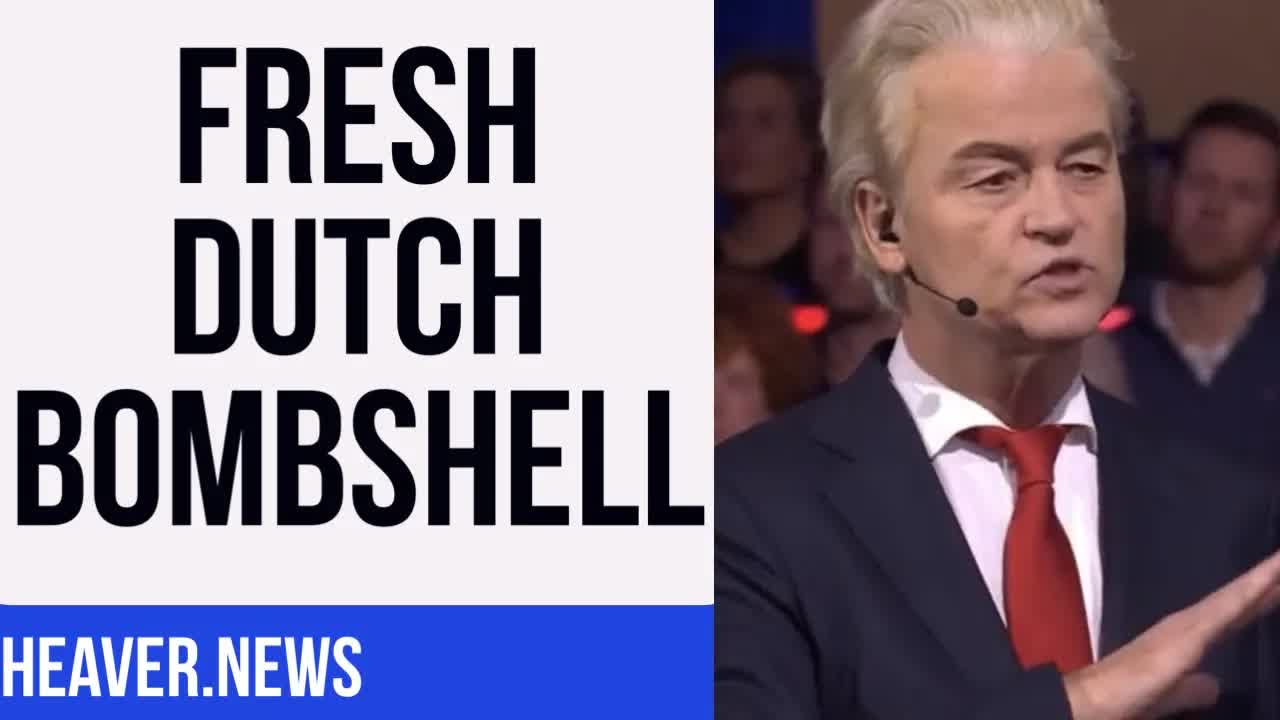 Dutch election: Wilders' party gains seats after vote