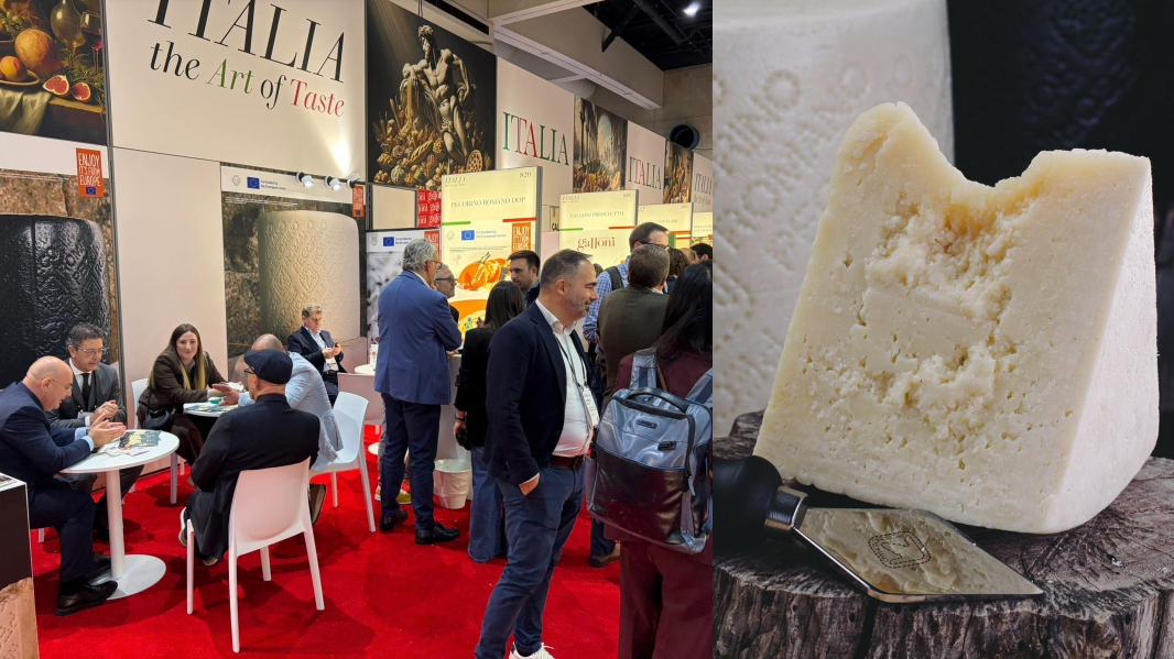 Il Pecorino Romano DOP protagonista a San Diego: il mercato USA più ...