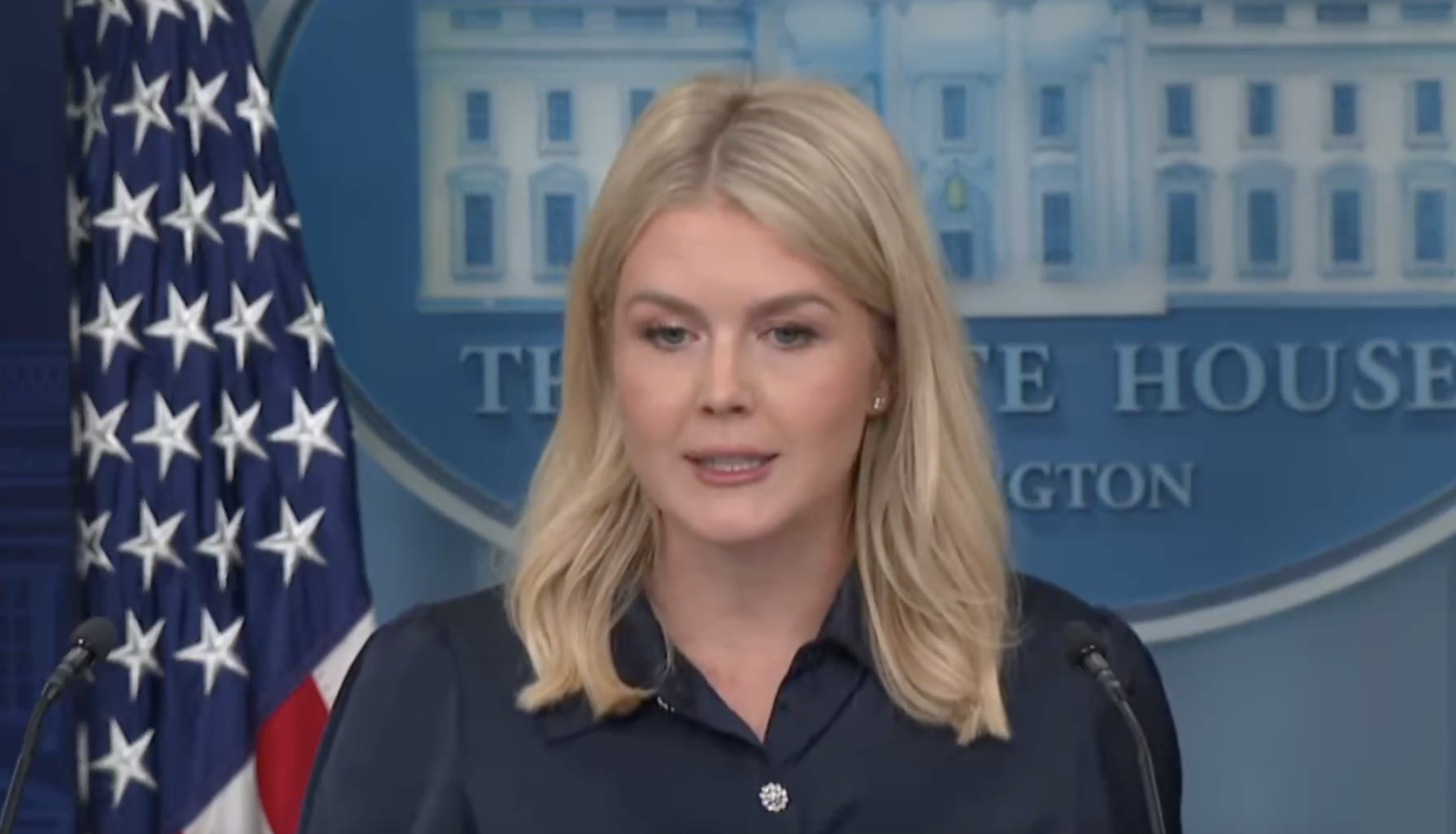 'He got the most juice out of that squeeze': Karoline Leavitt ...