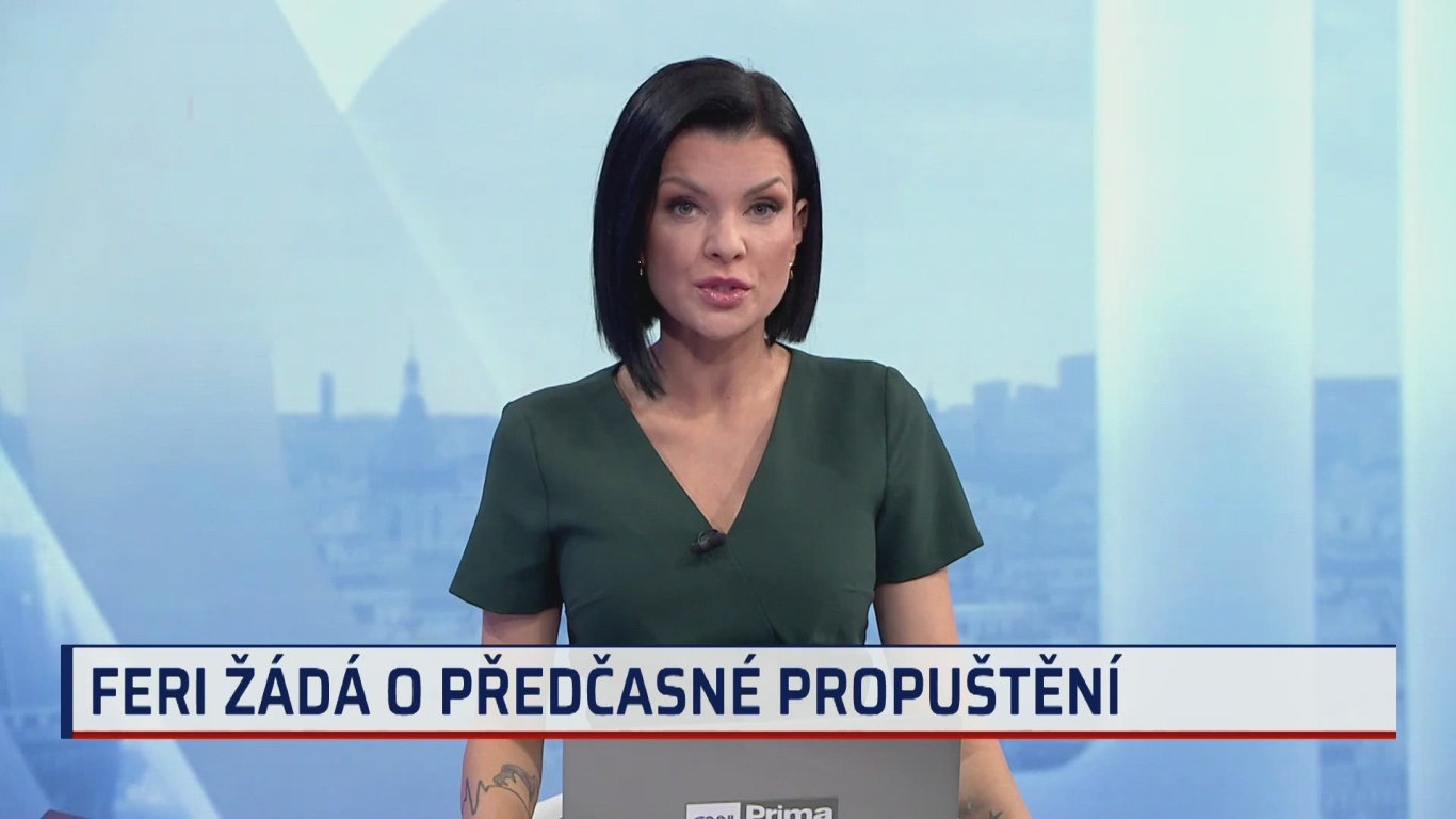 Soud rozhoduje o propuštění Dominika Feriho