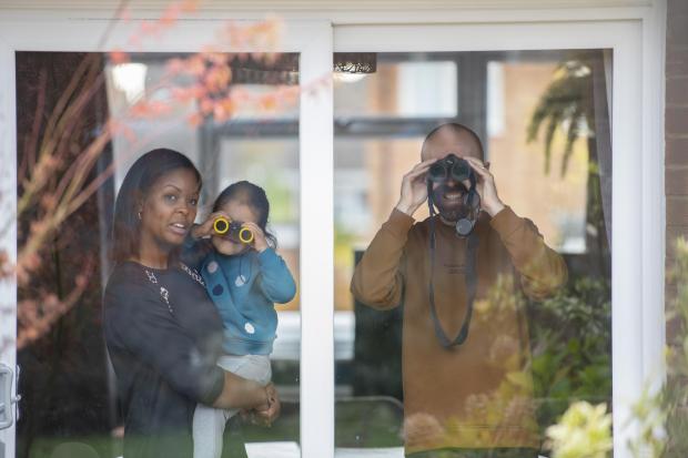 County Durham residents urged to join Big Garden Birdwatch - here's how