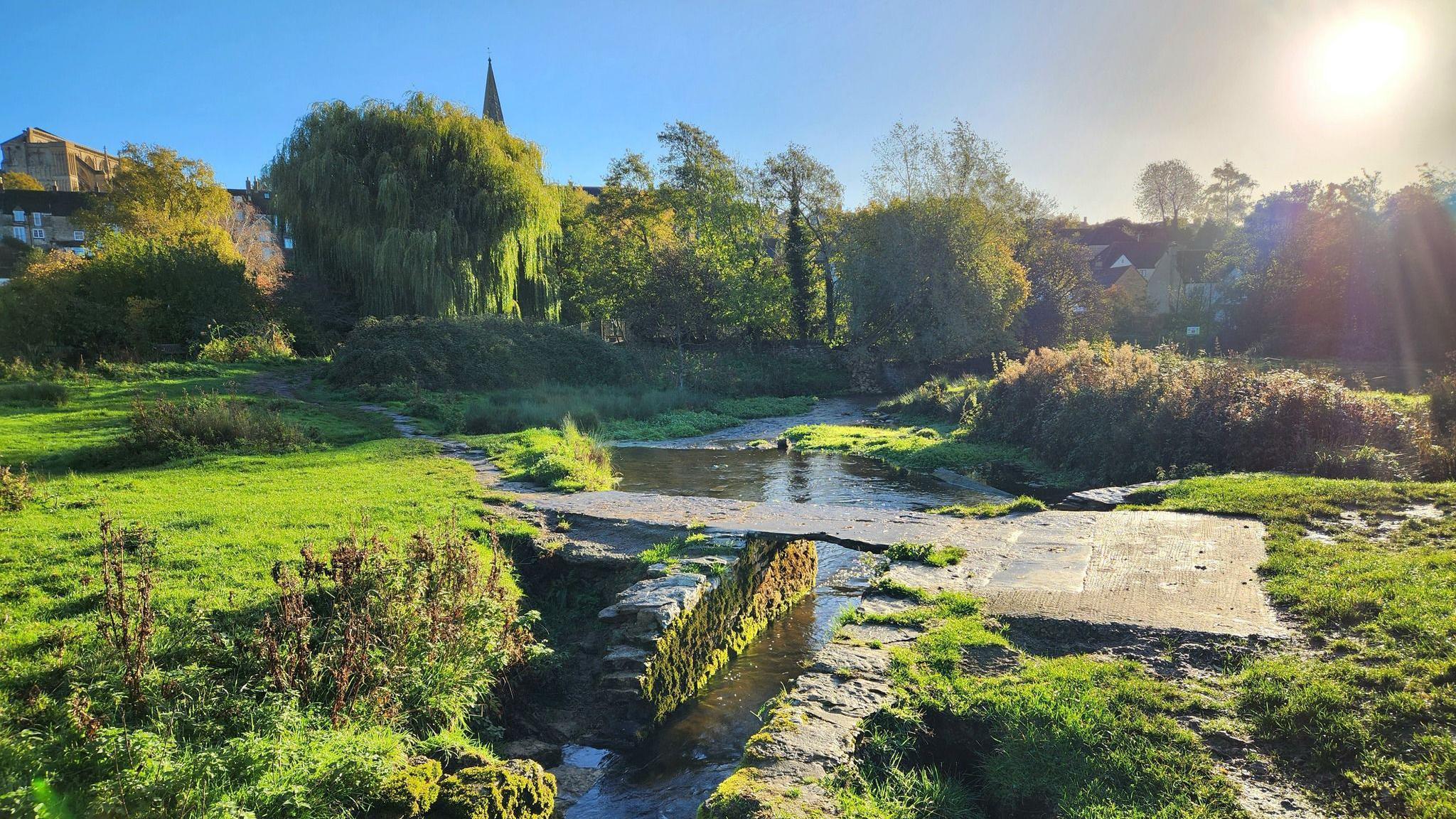 Riverside beauty spot set to be restored