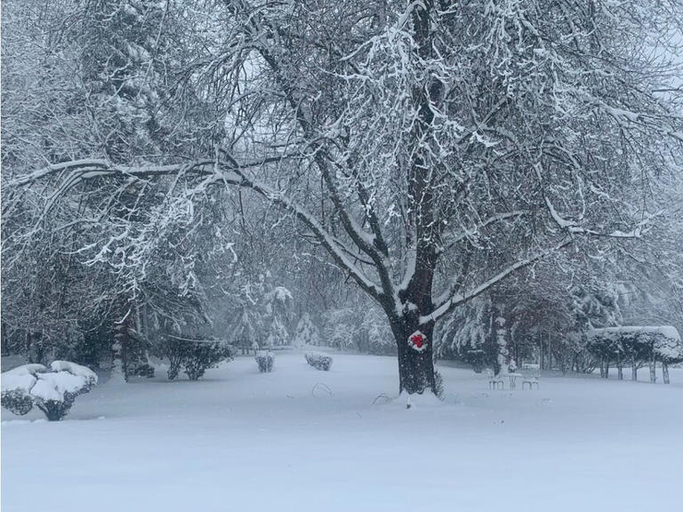 🌱 Patch AM: How to reserve a 2026 veteran tribute banner on Enfield’s green