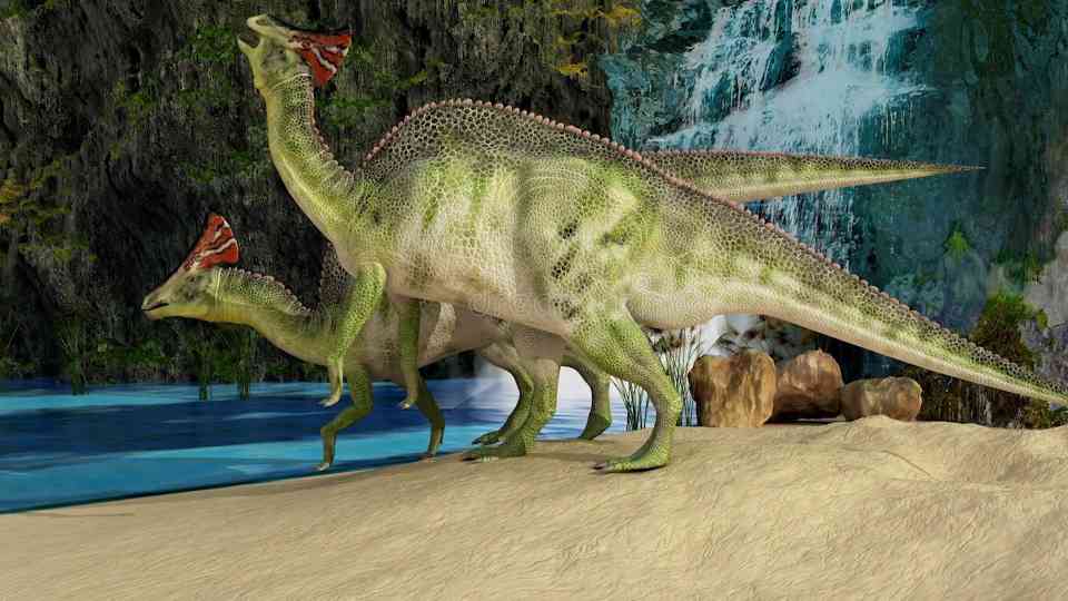 How "duck billed" dinosaurs evolved features no one expected