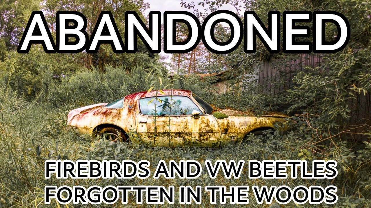 Abandoned Firebirds and a VW Beetle hidden deep in the forest