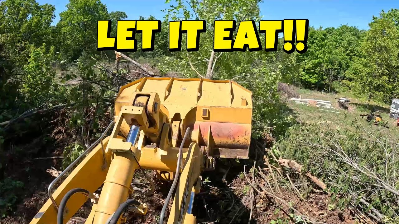 Watch a bulldozer clear a forest in minutes