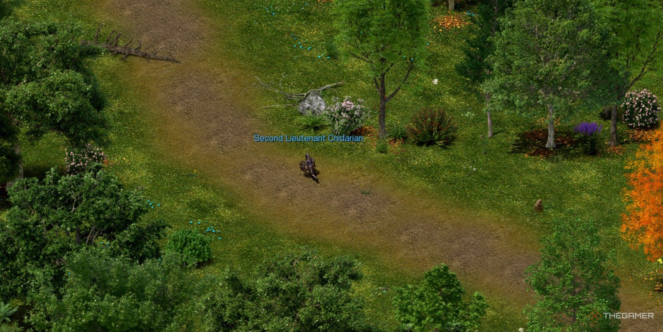 Which attributes to pick for each class in Dreadmyst