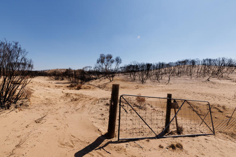 Peril beyond fence line halts 'important' project in Aussie bush