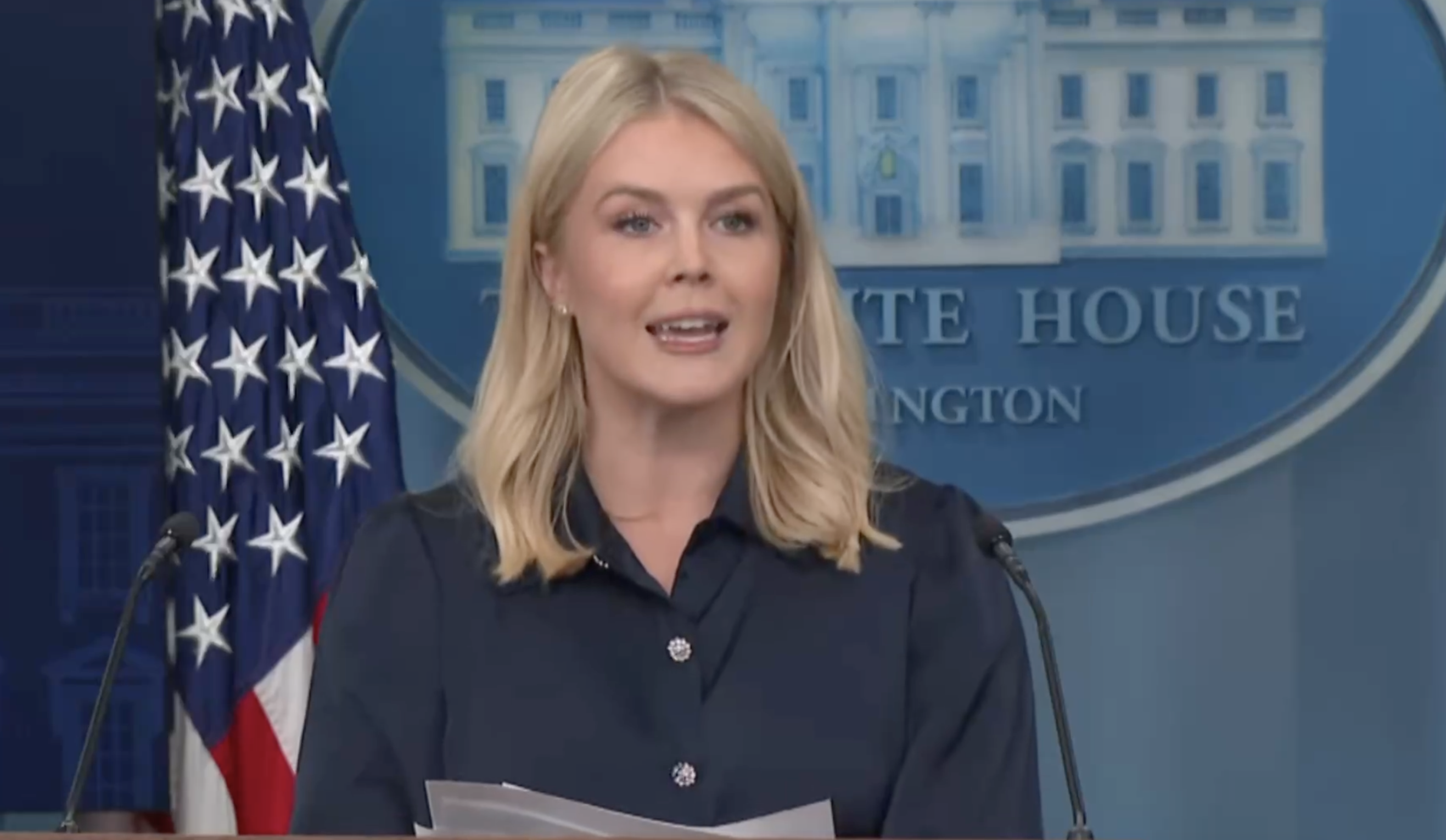 'This is what maximum leverage looks like': Karoline Leavitt proudly ...