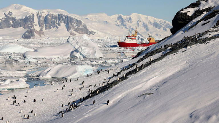 Is America surrendering Antarctica to its rivals?