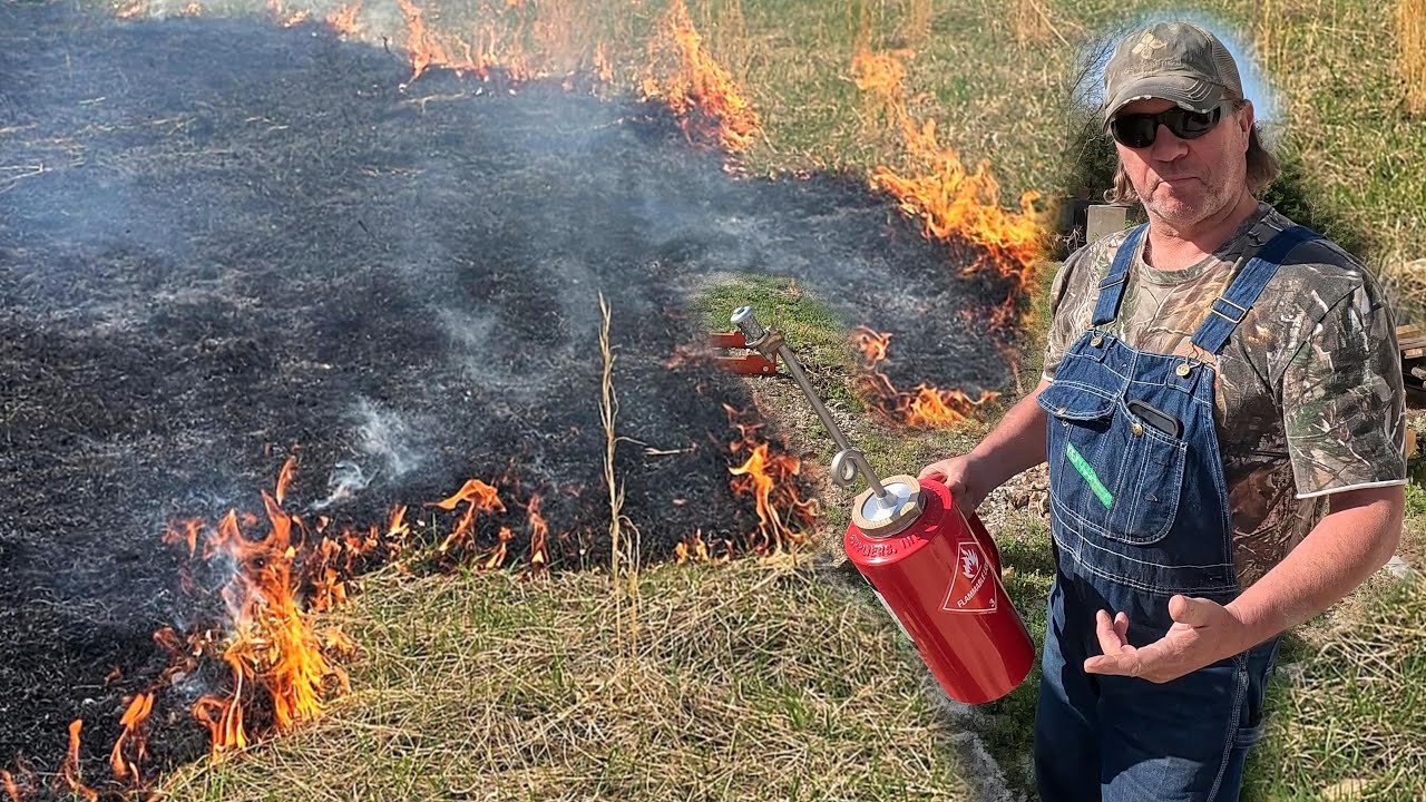 8-acre prescribed burn for food plots | Missouri Ozarks habitat update ...