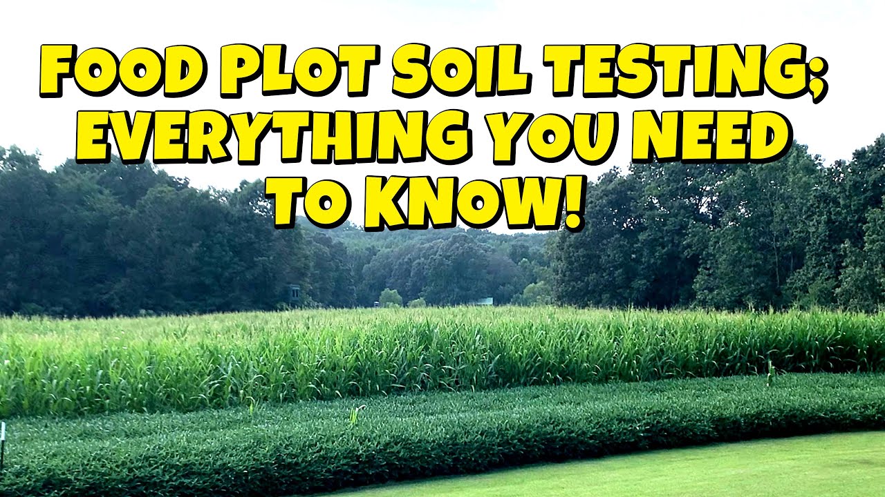 Food plot soil testing explained: Everything you need to know (part 1)