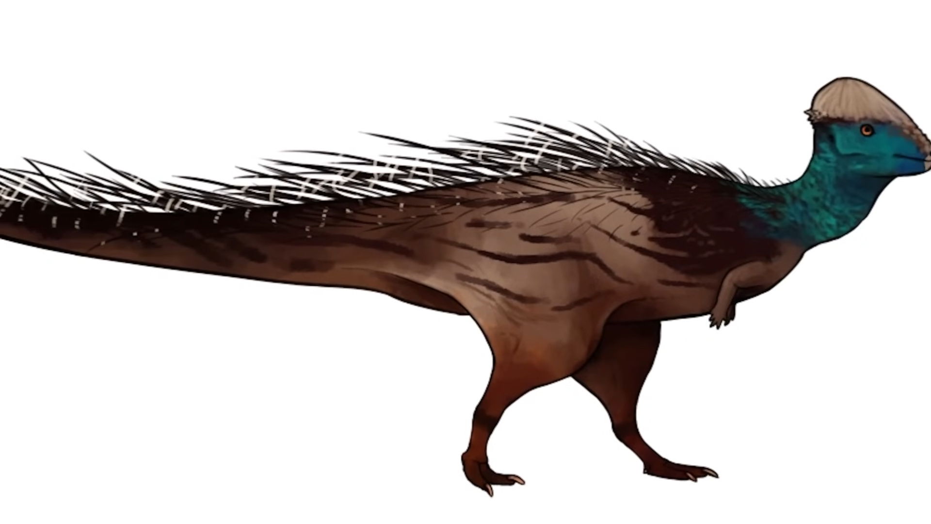 Why scientists still debate what really happened at Hell Creek