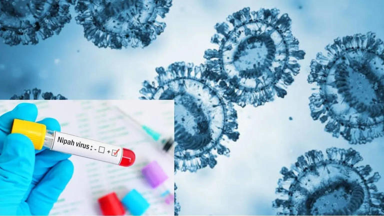 Nipah alert: Two more nurses with symptoms admitted in Kolkata hospital ...