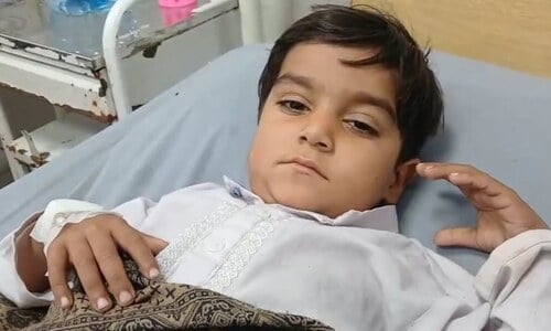 Grave desecration suspect killed by accomplices' fire in ...