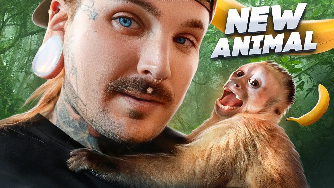 A small newcomer creates a big shift